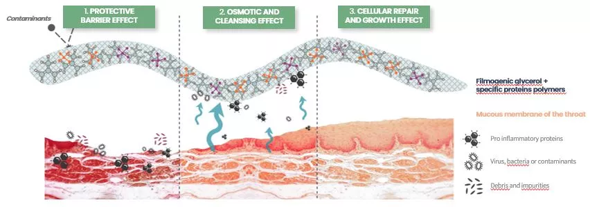 PHARYNDOL treatment for throat infection | VITROBIO Medical Devices